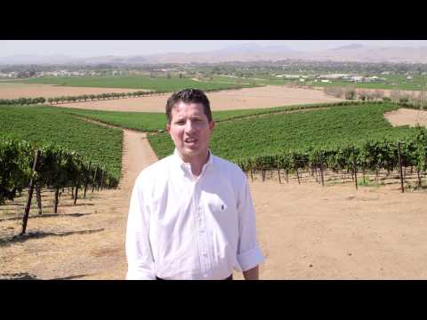 Discover California Wines: Livermore Lodi and Santa Cruz