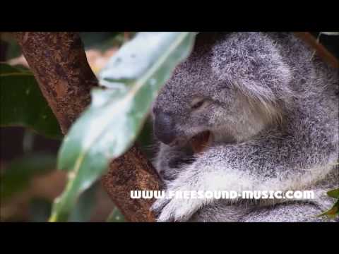 Dawning of a New Age   royalty free piano ballad