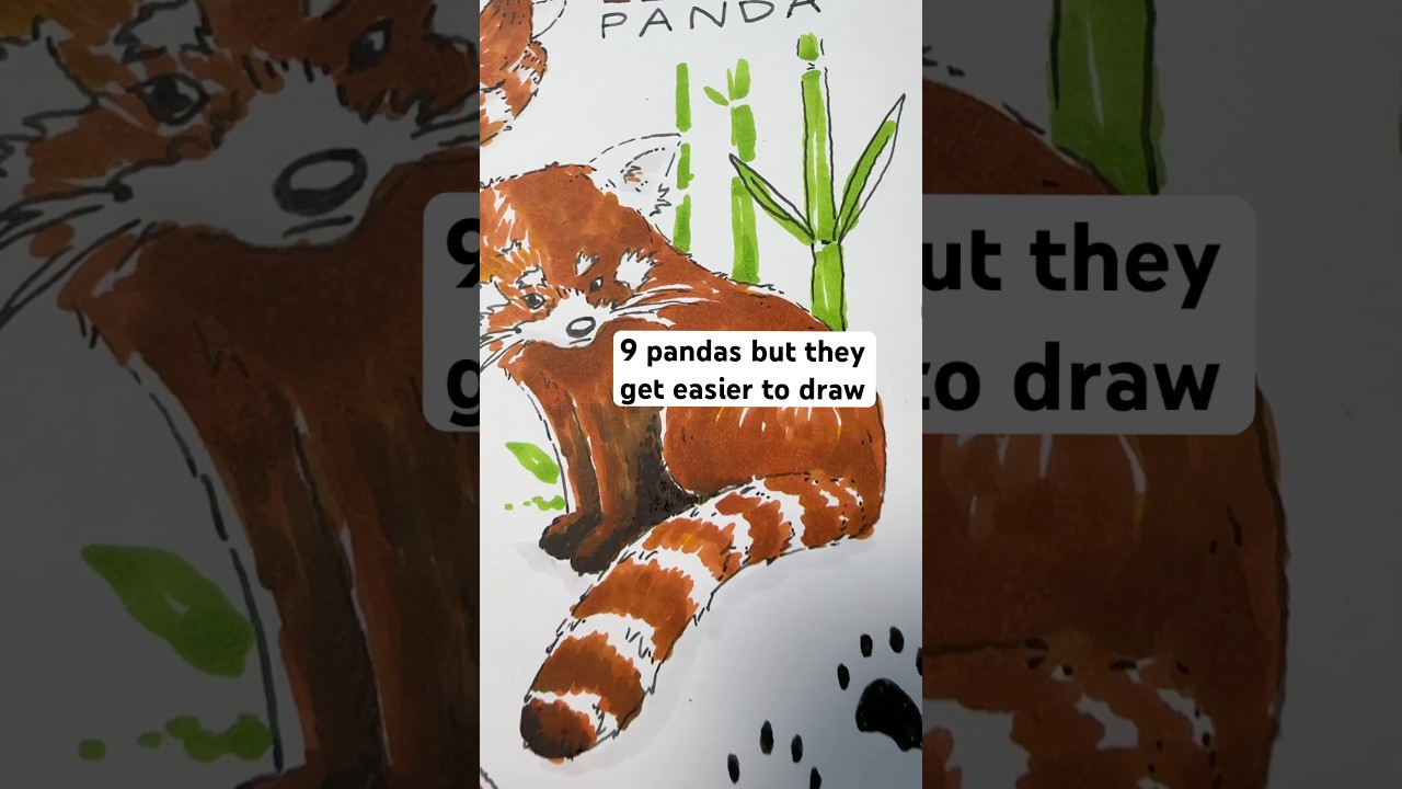 9 pandas from hard to easy. #cuteanimals #redpanda #arttrend #funny