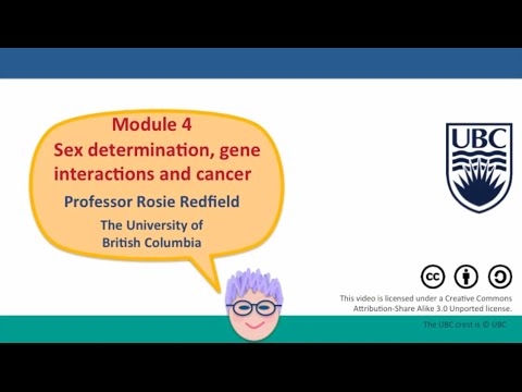 4J - How somatic mutations cause cancer, part 1