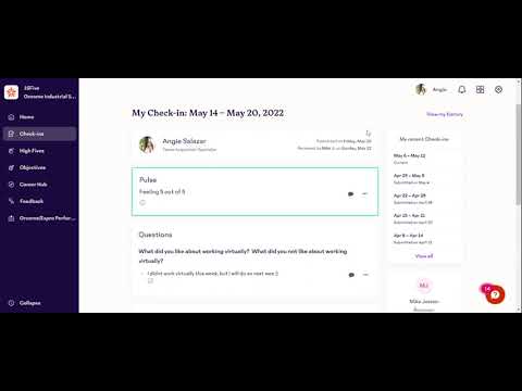 15five Expert Review by Angie Salazar - SelectSoftware Reviews