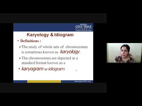 Chromosomes Karyotyping