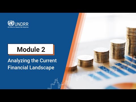 Module 2: Analyzing the Current Financial Landscape | UNDRR