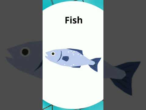 Fish 🐟 + Net = Fishnet