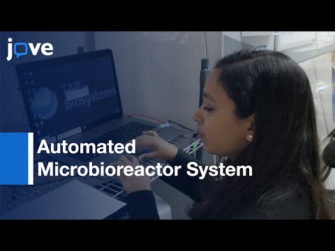 High-Throughput Microbioreactor System-Production: Model IgG1 In CHO Cells l Protocol Preview
