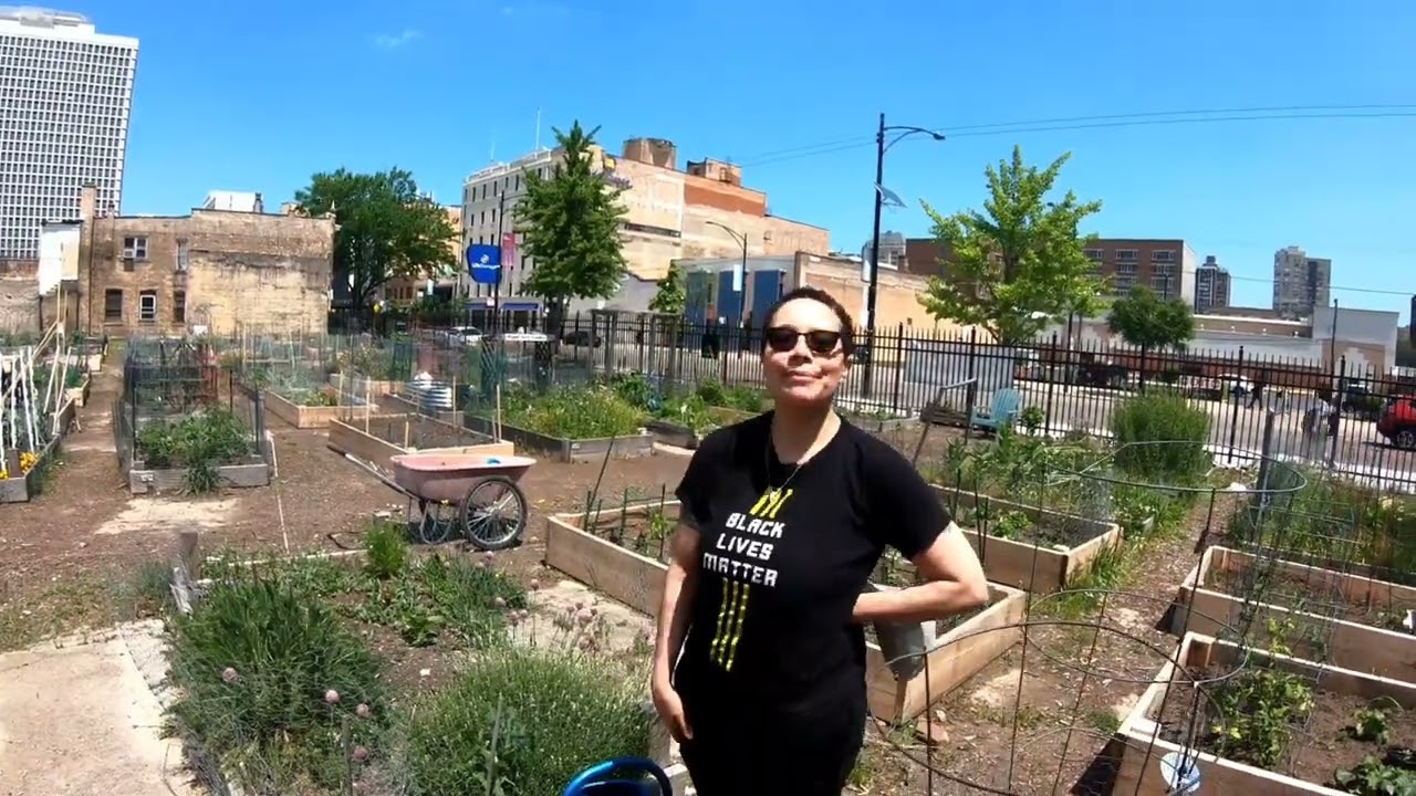 An improvised visit to the Edgewater community garden!