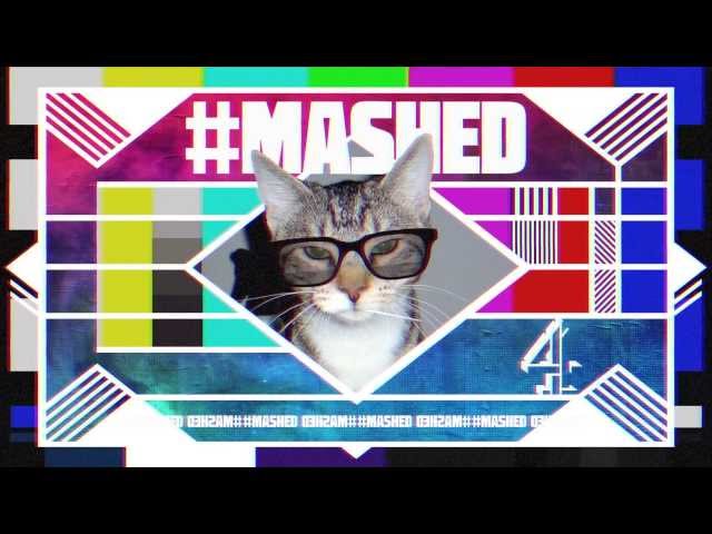 Mashed's Profile, Net Worth, Age, Height, Relationships, FAQs