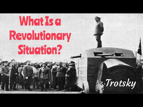 What Is a Revolutionary Situation? – Ms. Cat’s Chronicles