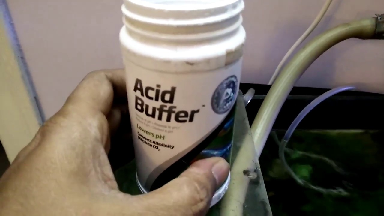 Seachem Acid Buffer ultimate use  (No water change)