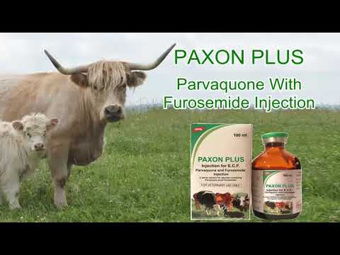 Intracin Pharmaceuticals Private Limited - Manufacturer of Veterinary ...