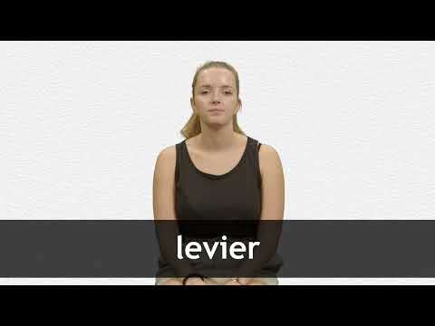 English Translation of “LEVIER” | Collins French-English Dictionary