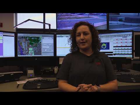 Video demos | Matthew Mulcahy