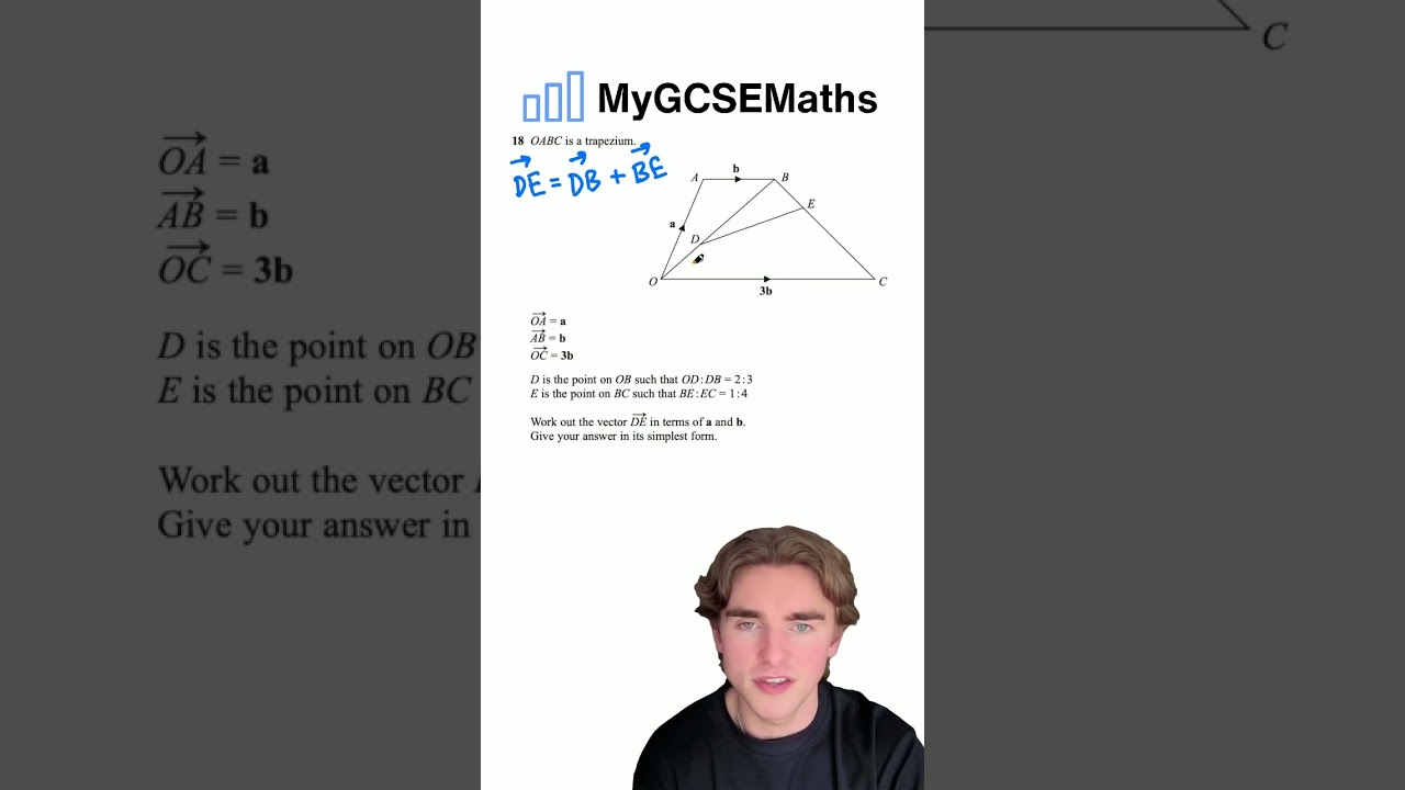 Vectors | GCSE Maths
