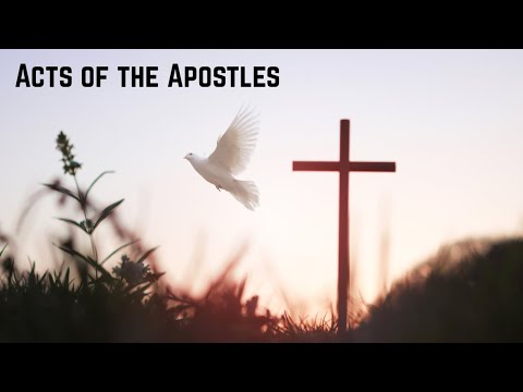 Acts 1-2:4 | Storm Lindenberg | 8 June 2025