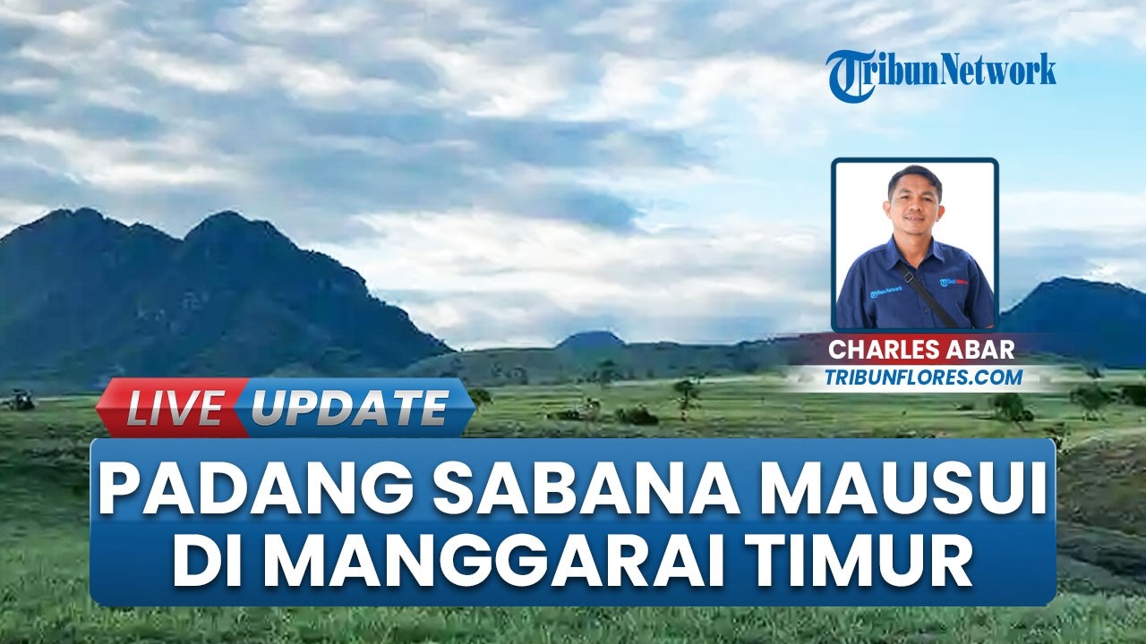 Keindahan Tak Tergarap, Padang Sabana Mausui di Manggarai Timur Belum ...