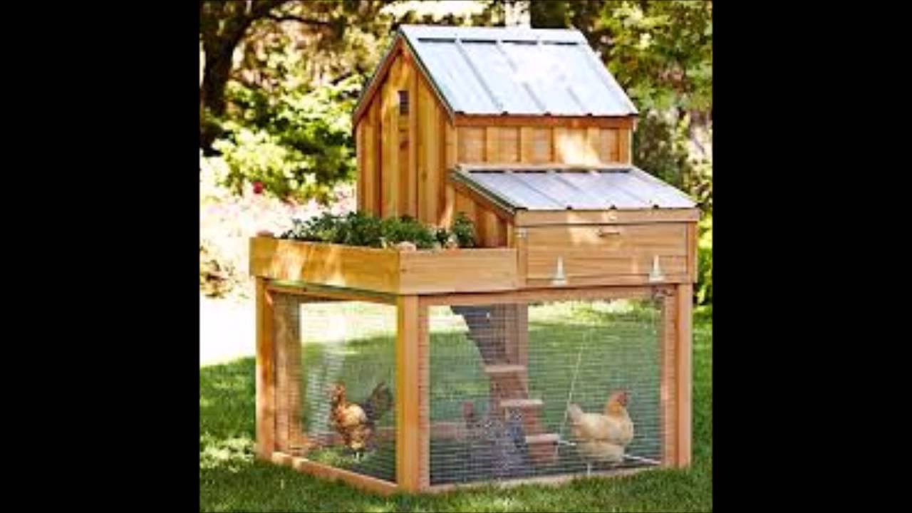 Poultry House Designs  Pdf - How To Build A Quick And Easy Chicken Coop