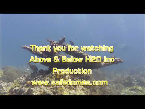 Dressel Divers Maya Riviera March 2025 WE SAW FISH!!!