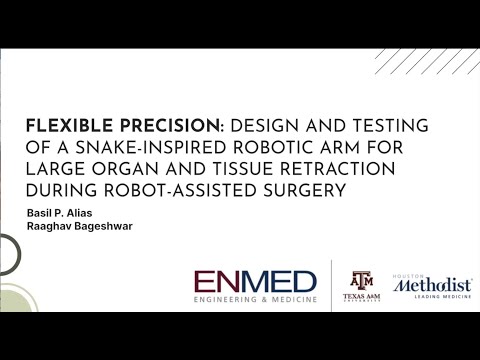 Flexible Precision (DMD2024-1087)