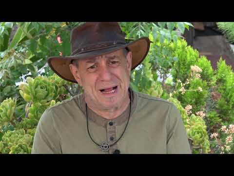 Biochar 101 Living Soil