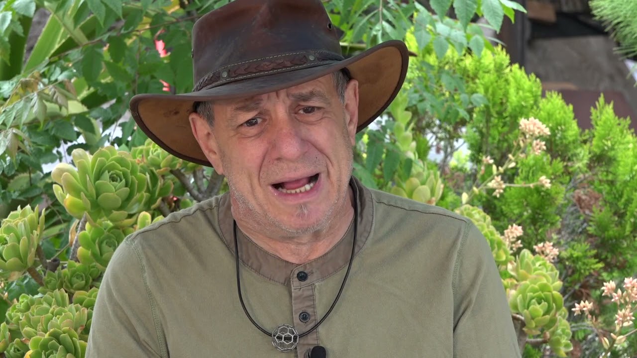 Biochar 101  Living Soil
