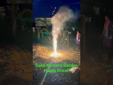 Saral group Diwali celebration