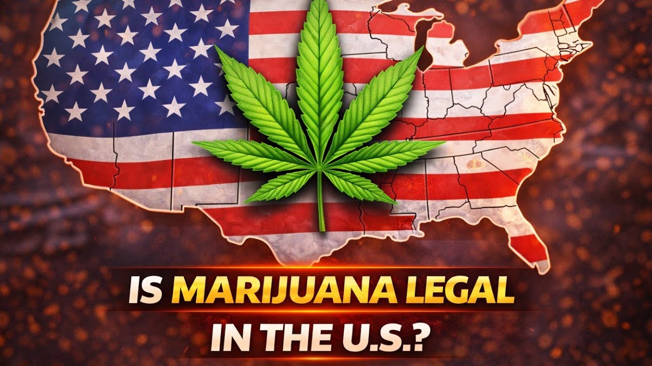 Is Marijuana Legal in the U S? | State by State Laws Explained