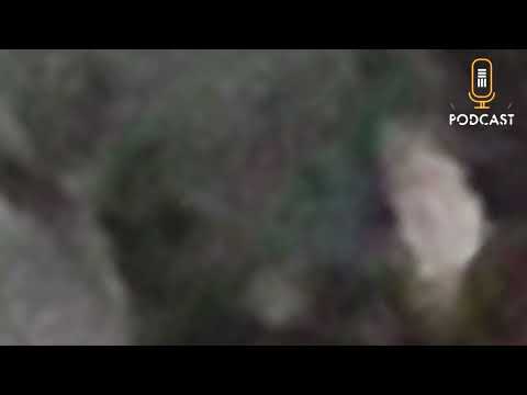 Alien Grey Entity Caught in Ciudad Obregón, Sonora Mexico (Video ...