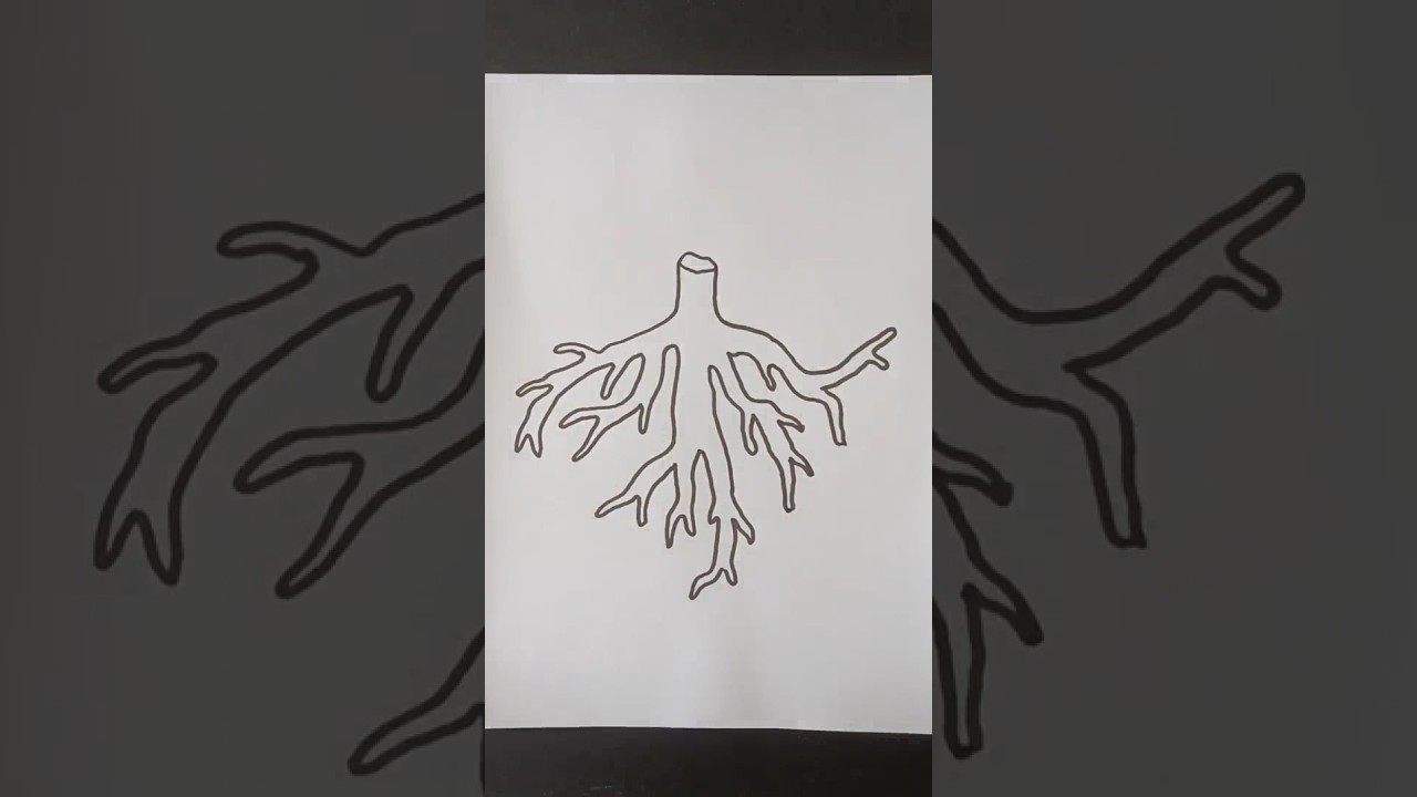 Draw Tree Roots  #roots #easydrawing #howtodraw