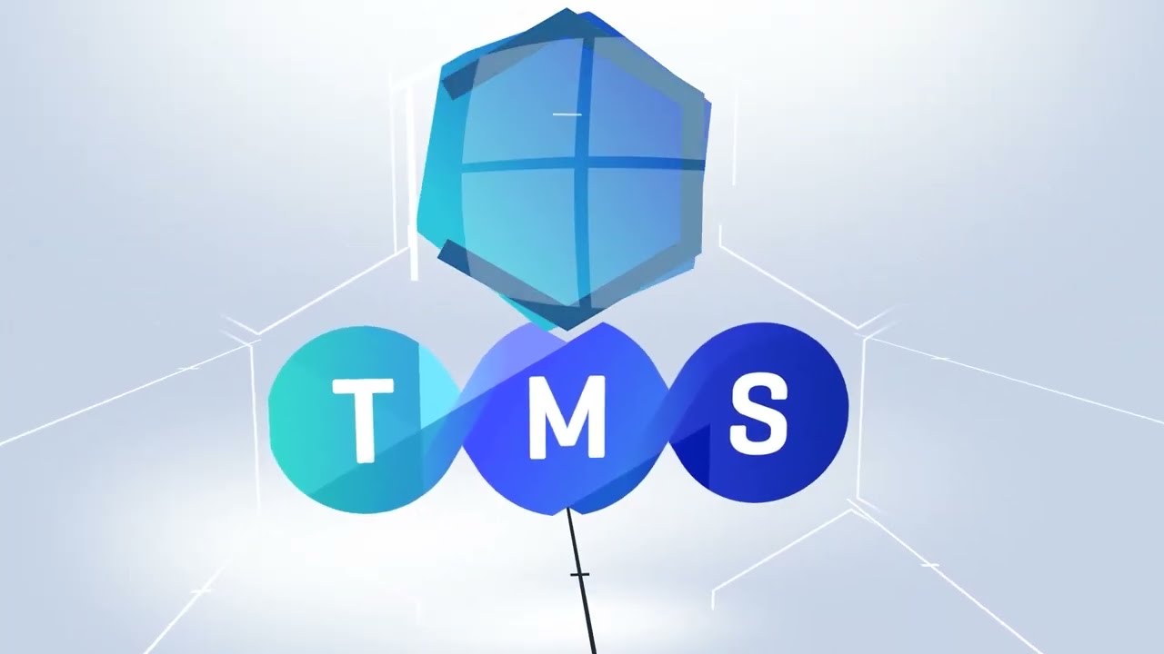 Journey of TMS Consulting