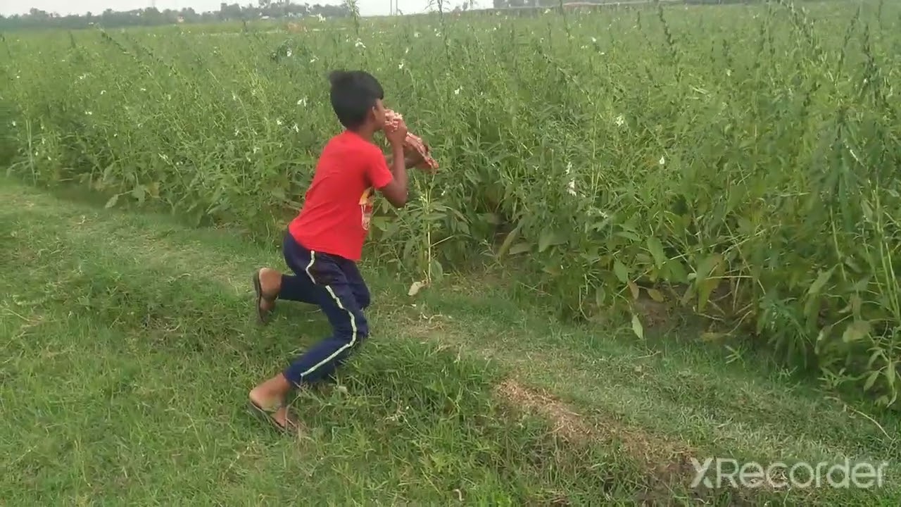 TM Youtube channel ar new Whatsapp video 2022 😅😅🤣🤣..like comment..subscribe.and. share. now