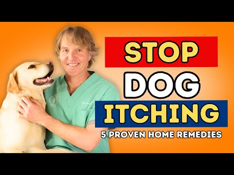 Dog Allergies? Try These 5 Proven Home Remedies to End the Itch!