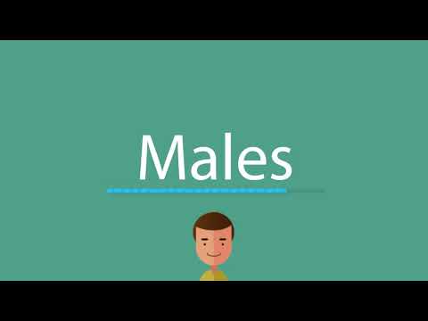 Males pronunciation