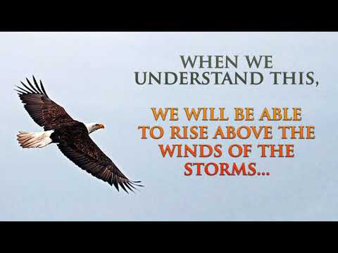 Soar Like An Eagle