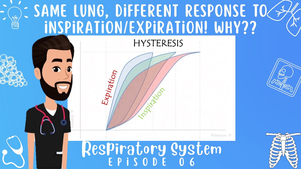 Lung HYSTERESIS: 5 Minutes of Physiology explained: Respiratory System: Episode 06