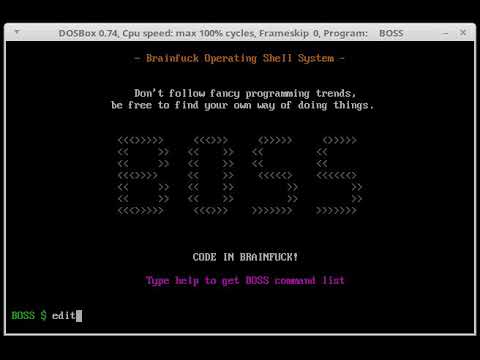 GitHub - maksimKorzh/BOSS: Brainfuck Operating Shell System for DOS