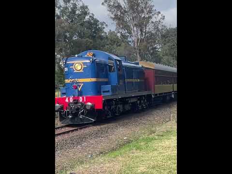 Historic Diesel 4001 heads for Picton #trains #steamengine