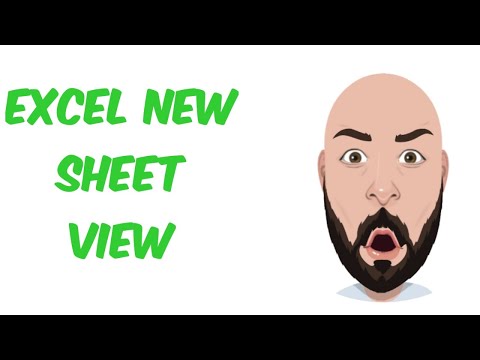 How to use Sheet View in Excel