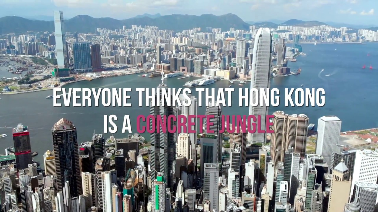 NOT YOUR TYPICAL HONG KONG