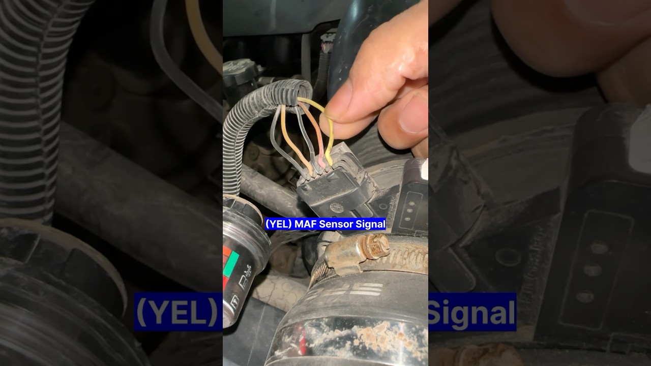 GMC MAF Sensor Wiring Daigram #maf #sensor #wiring