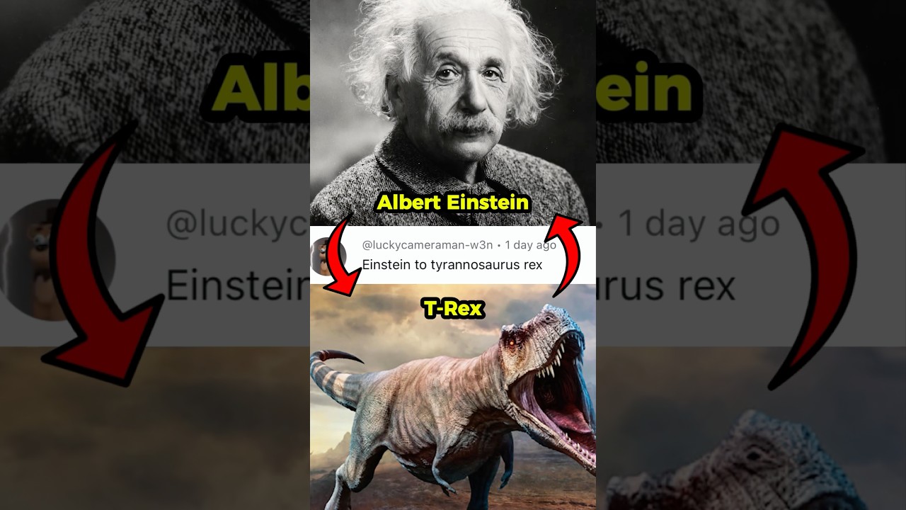 Connecting Albert Einstein to a T-Rex