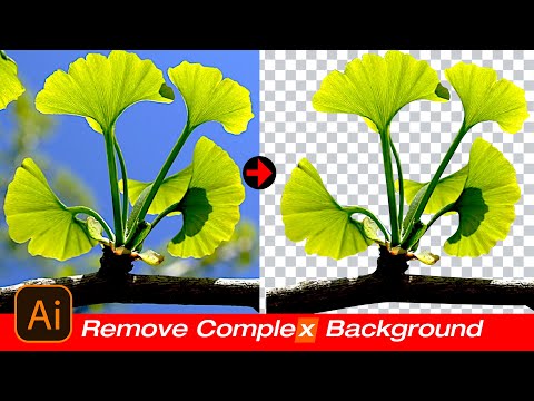 How to remove complex background of an image in illustrator