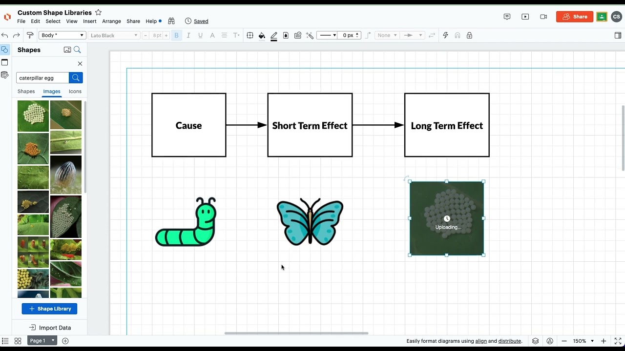 Learn about Custom Shape Libraries