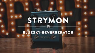 Strymon blueSky Reverberator - What To Know & Where To Buy | Equipboard