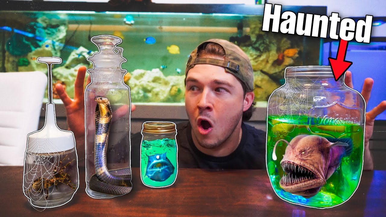DON’T ORDER HAUNTED LIVE FISH OFF THE WEB...