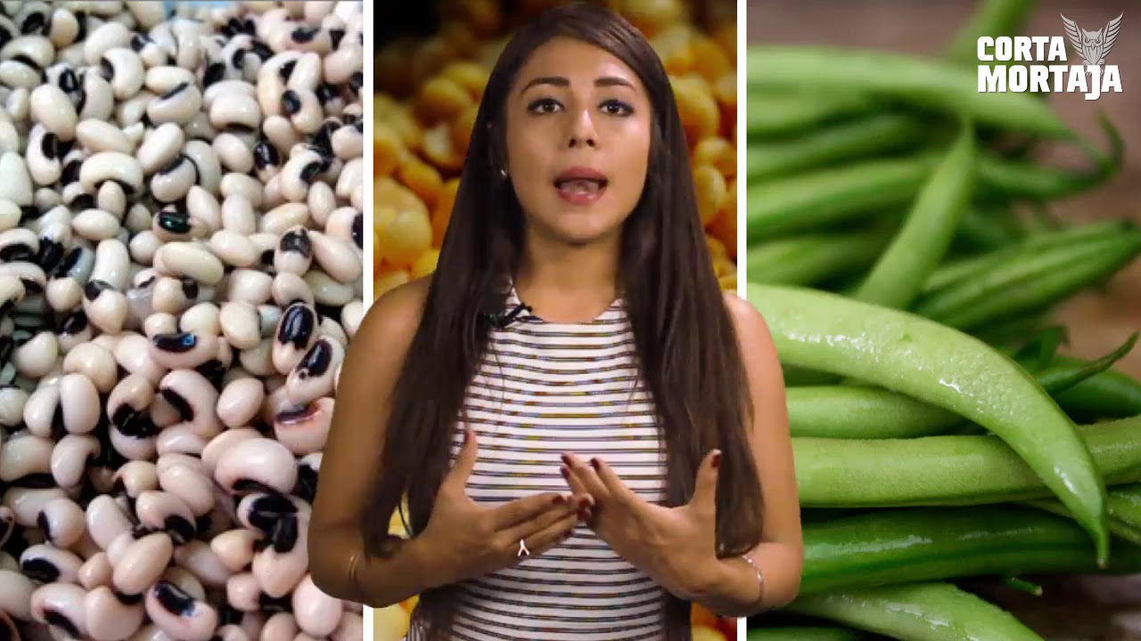 Los grupos de alimentos y sus porciones: Las leguminosas