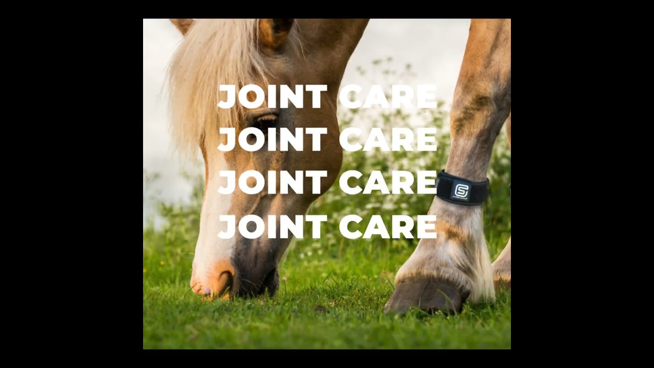 EQU StreamZ Quick Introduction Video 2025