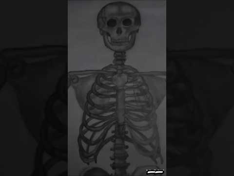 Shading drawing of skeleton π¦΄ππ| #drawing #shading