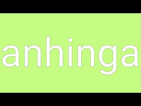 Anhinga Definition & Meaning
