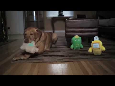 Dog Toys | New | Fun | Dog Friendly