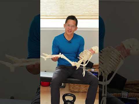 How Knee Muscles Get Imbalanced